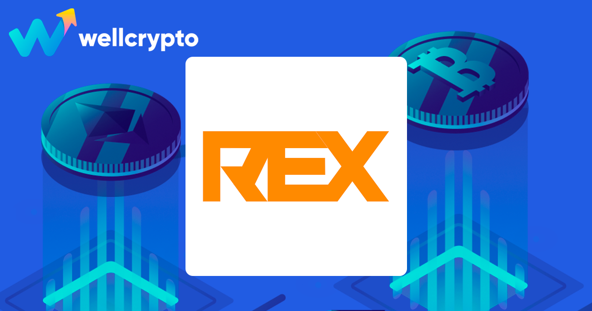 Обменник Rex Exchange - обзор и отзывы, официальный сайт